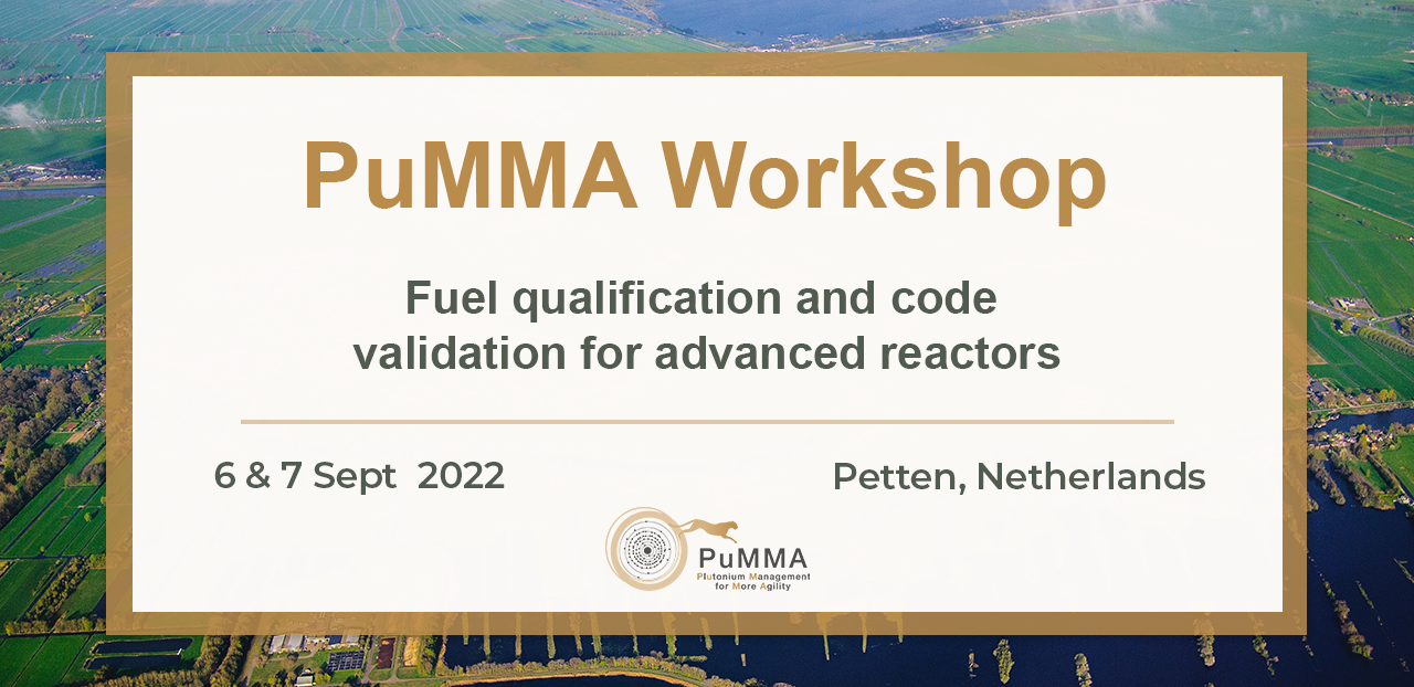 PuMMA Workshop on Fuel Behavior – PuMMA