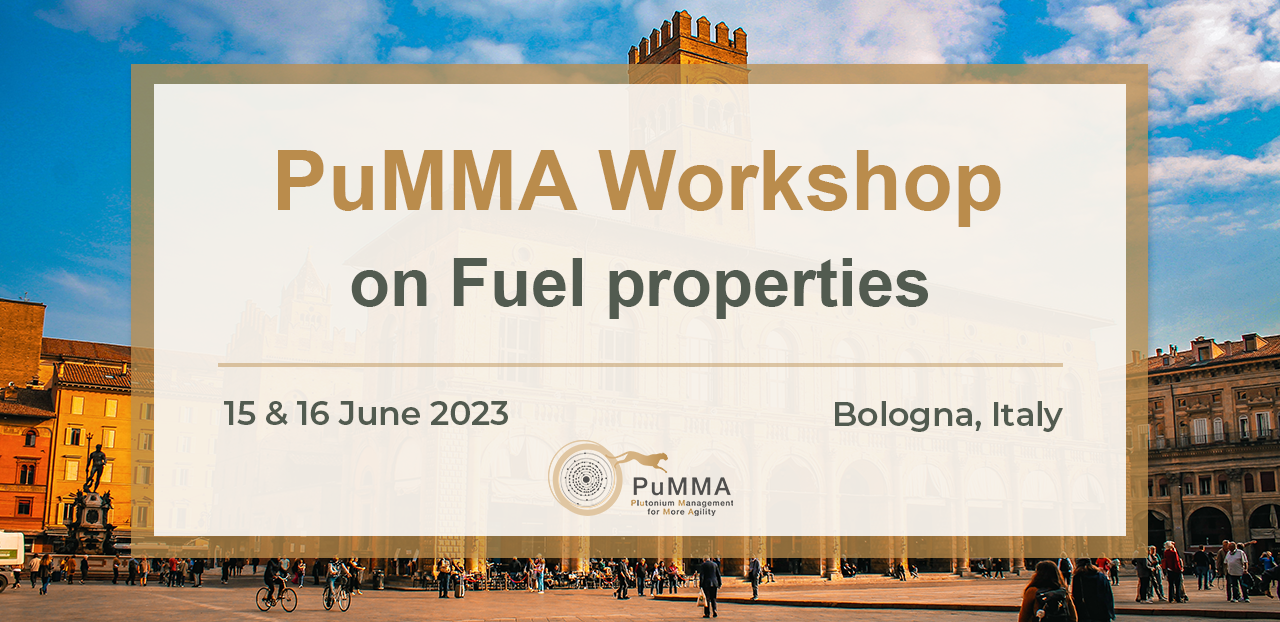 PuMMA Workshop on Fuel Properties – PuMMA