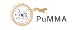 PuMMA – Plutonium Management for More Agility